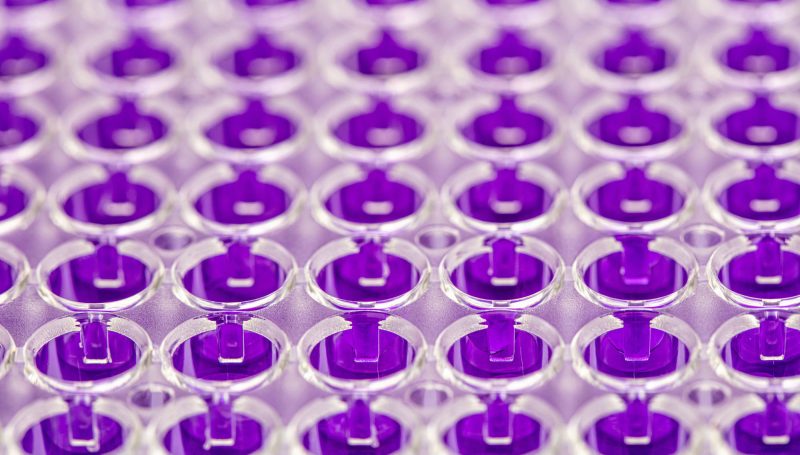 UniSA Ventures | Ultra-Low Attachment (ULA) Coatings for Tissue Culture ...