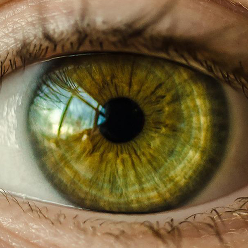 Reading builds resilience among at-risk kids - News and events ...