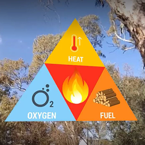 Immersive VR: empowering kids to survive in fire, flood, and war ...