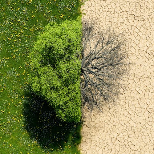 Scientists urge new conservation approach to save vulnerable species ...