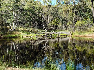 Future Industries Institute - Healthy Environments - Research ...